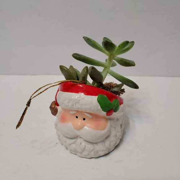 Holiday | Christmas Planter Hanging Succulent Plant Pot Vintage Santa ...